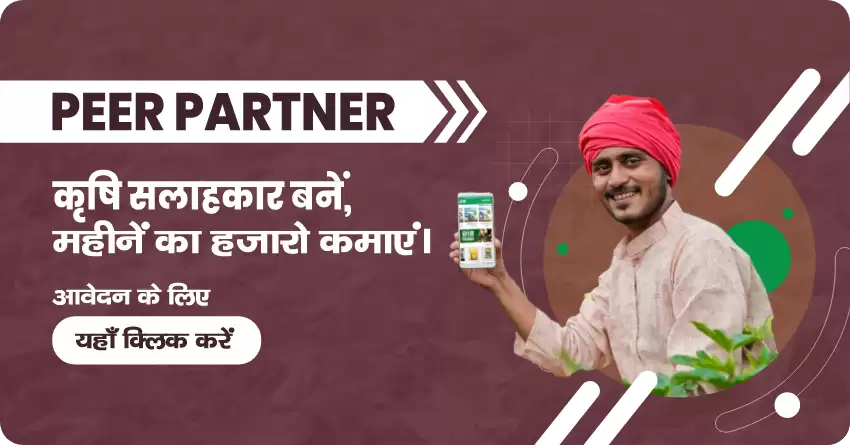 Shop with Gramik for All Your Agricultural Needs: Seasonal Crop Seeds ...